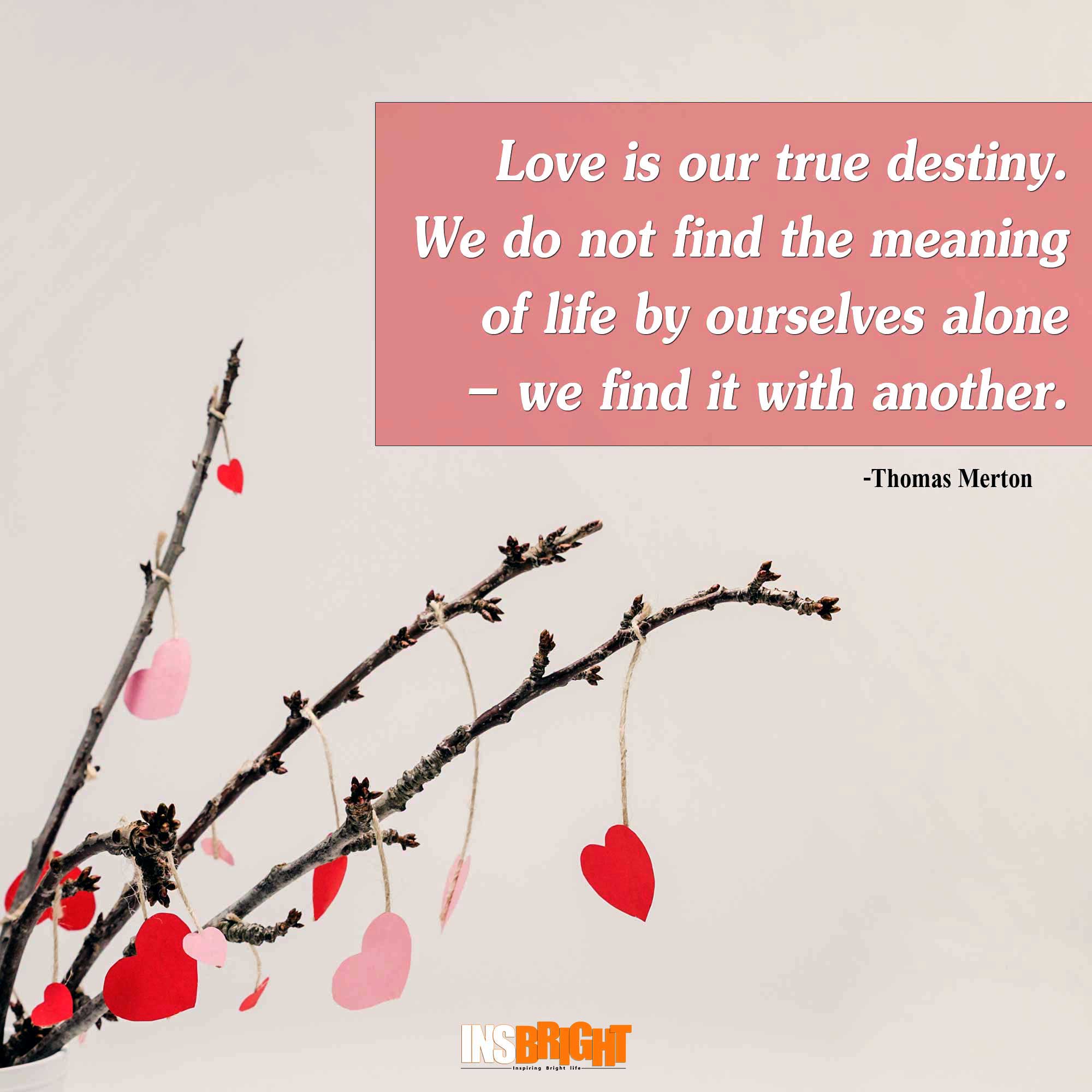 Cute Happy Valentines Day Quotes With Images For Him Or Her Or Friends Cute Happy Valentines Day Quotes With Images For Him Or Her Or Friends